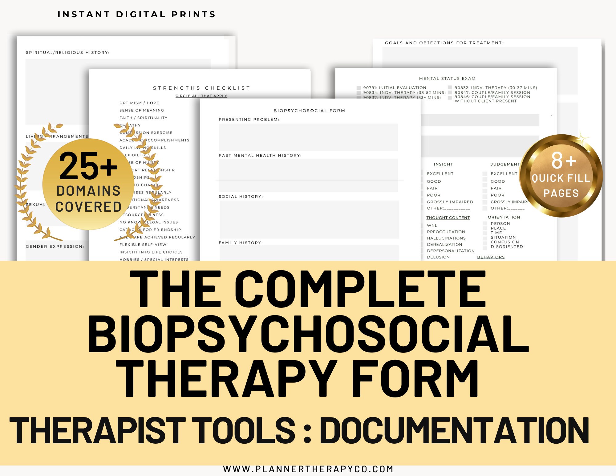 BIOPSYCHOSOCIAL Form Psychotherapy Documentation for Quick Therapist ...