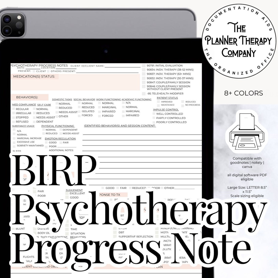 BIRP Note Psychotherapy PROGRESS Note Template With MSE Digital ...