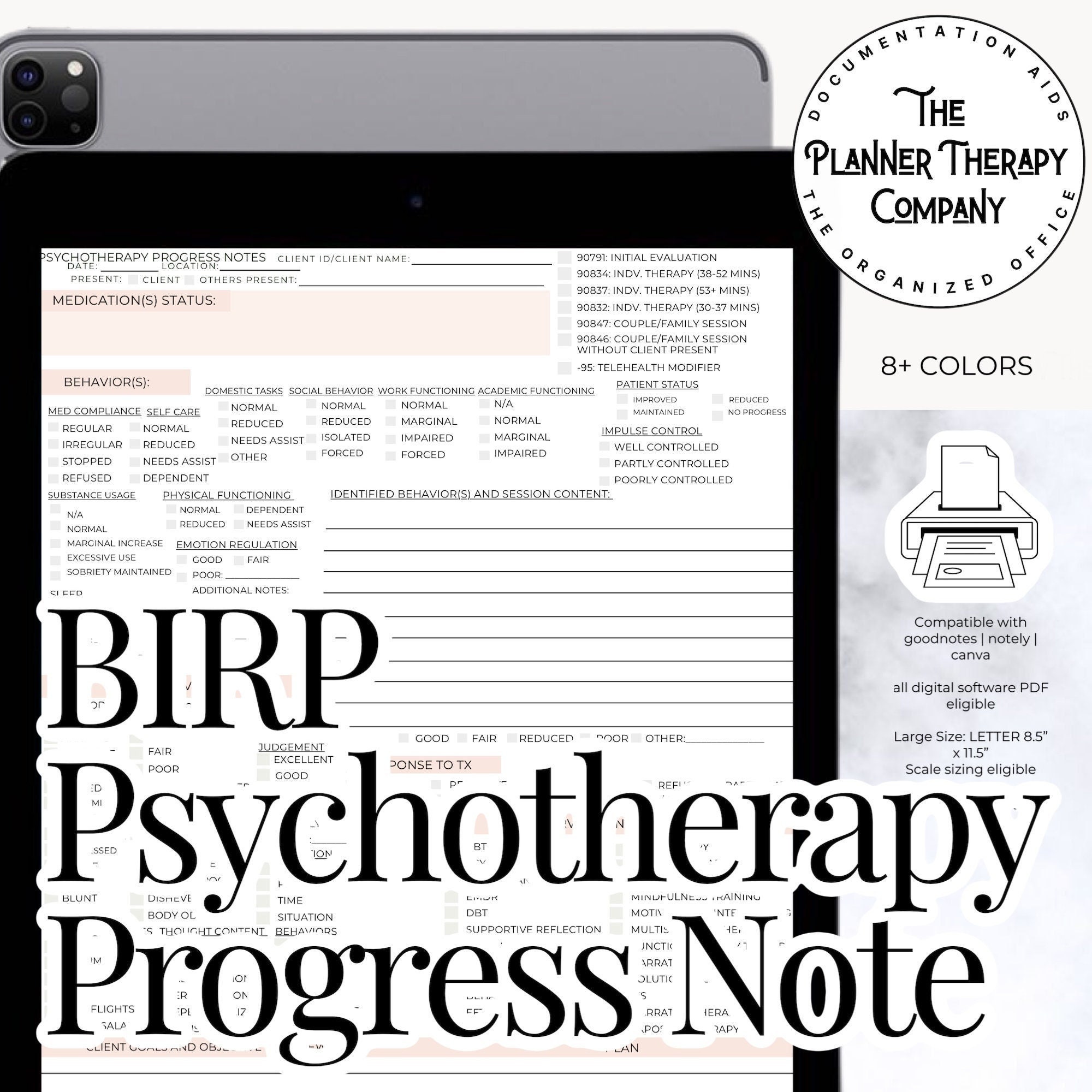 BIRP Note Psychotherapy PROGRESS Note Template With MSE Digital