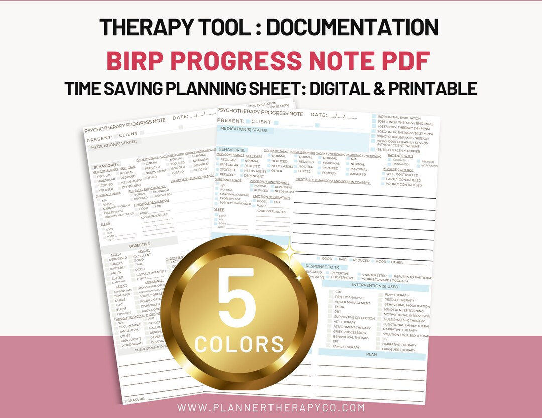 BIRP Note Psychotherapy PROGRESS Note Template With MSE - Etsy