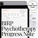 BIRP Psychotherapy Progress Note Template With MSE (digital Download ...