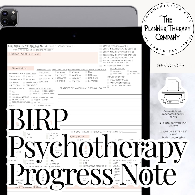BIRP Note Psychotherapy PROGRESS Note Template With MSE Etsy