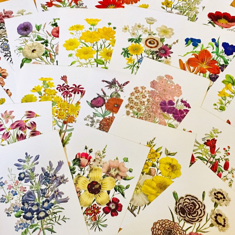 Vintage Floral Postcards - Etsy