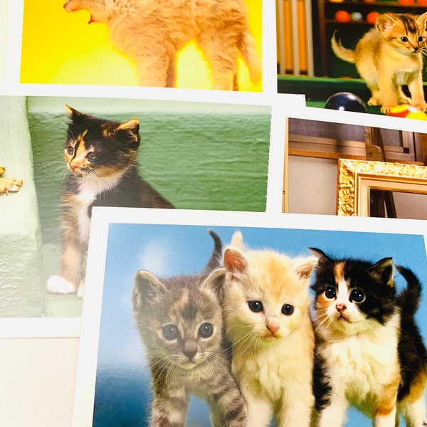 Vintage Cat Postcard - Etsy