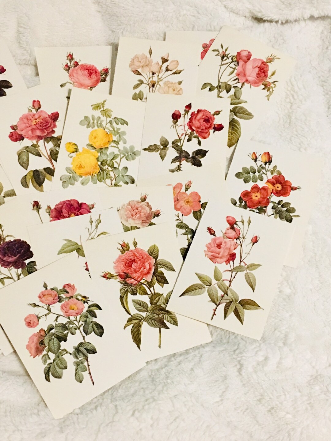 2 Vintage Rose Postcard, 1990s Rose Postcards, Shabby Chic Papers ...