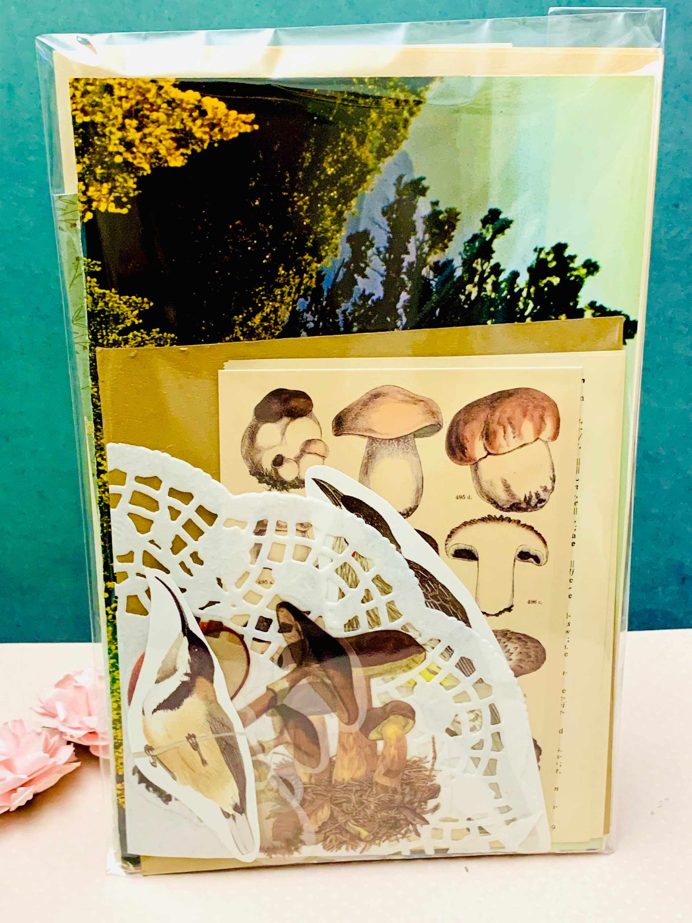 National Park Ephemera Kit, Vintage Junk Journal Supplies, Forest ...