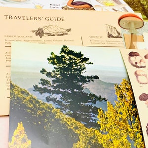 National Park Journal Kit, Nostalgic Forest Ephemera, Forest Ephemera ...