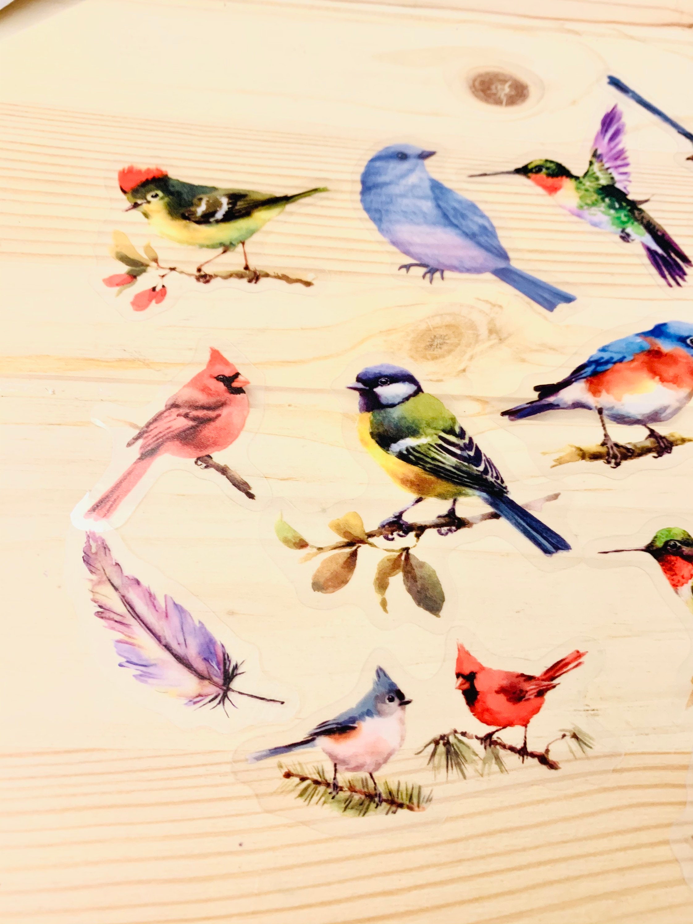 20 Birds and Feathers Sticker Pack Bird Stickers Feather - Etsy