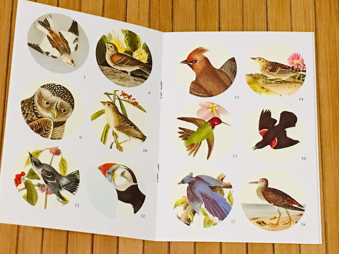 Illustrated Bird Stickers, Small Bird Circular Stickers, Bird Sticker ...