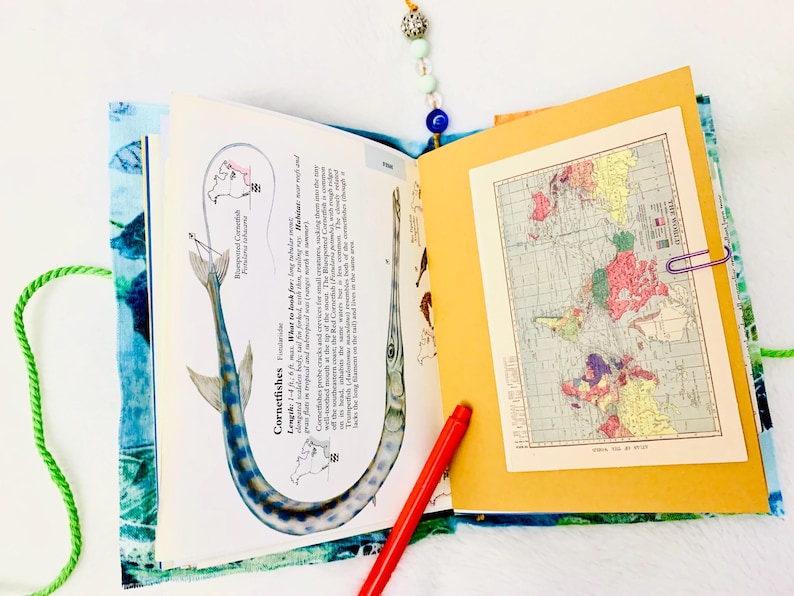 Sea Turtles Journal, Marine Biologist Journal, Aquatic Life Journal ...