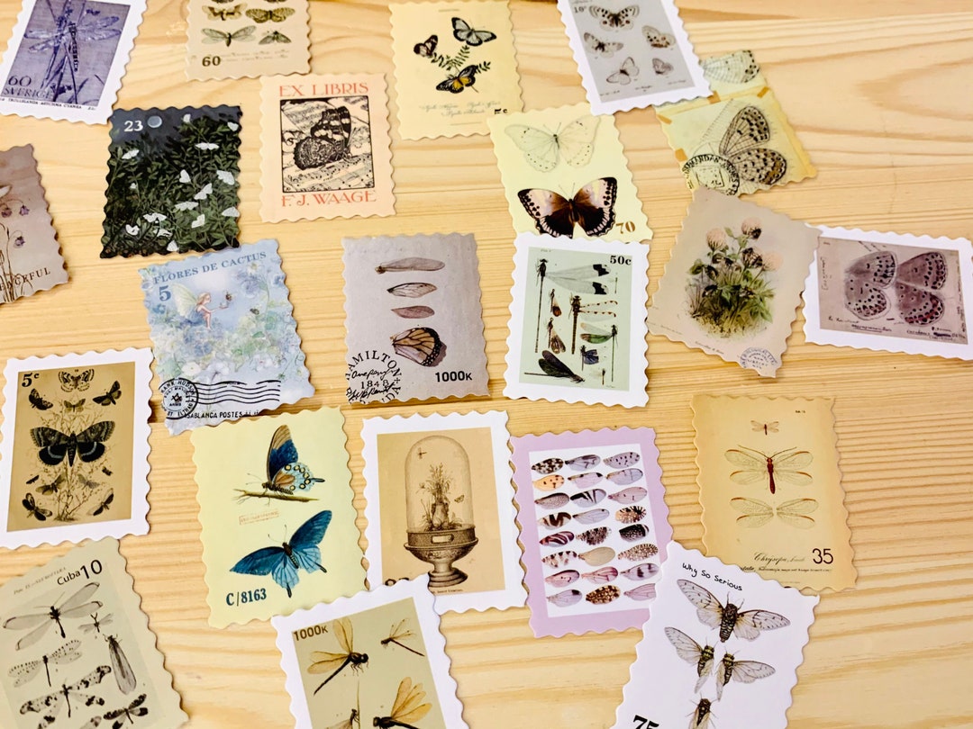 20 Butterfly Specimen Stamp Stickers, Insect Specimen Sticker ...