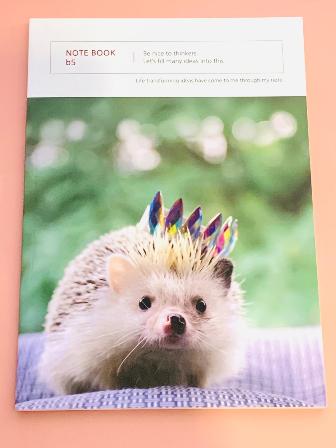 Hedgehog Notebook, Kawaii Hedgehog Notebook, B5 Notebook, Cute ...