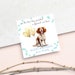 Spaniel Dog Daddy Birthday Card, Springer Spaniel, Dog Birthday Card ...