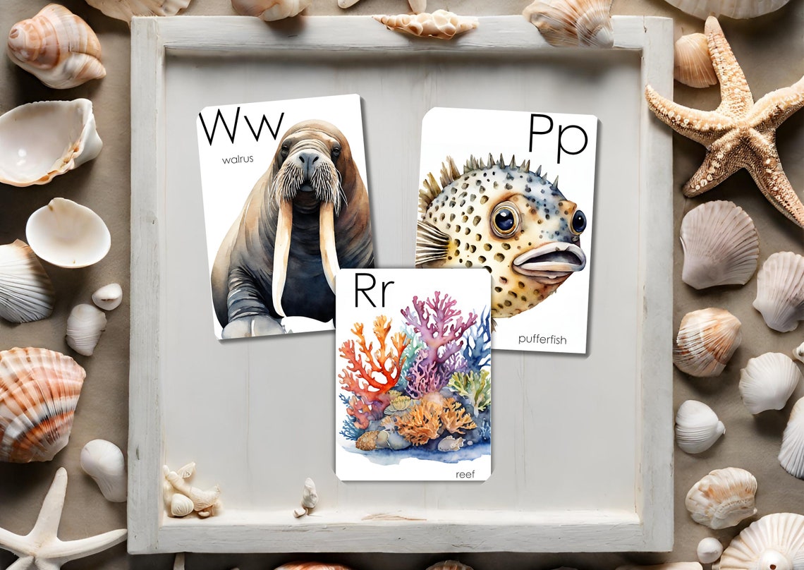 Alphabet Ocean Cards - Etsy