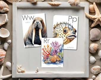 26 Ocean Creatures Alphabet, Printable Digital Flash Cards, Watercolour ...