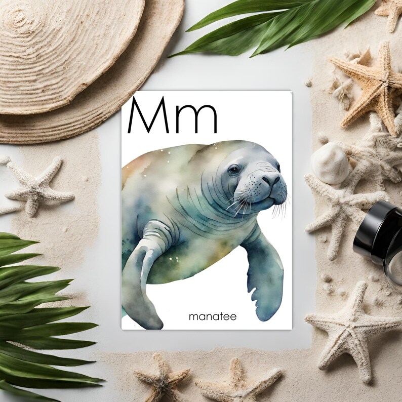 Alphabet Ocean Cards - Etsy