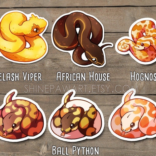 Cute Snake Sticker Set Ball Python Eyelash Viper Corn Snake - Etsy