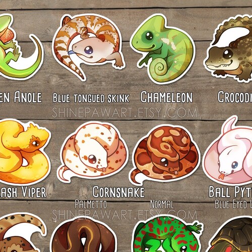 Cute Snake Sticker Set Ball Python Eyelash Viper Corn Snake - Etsy