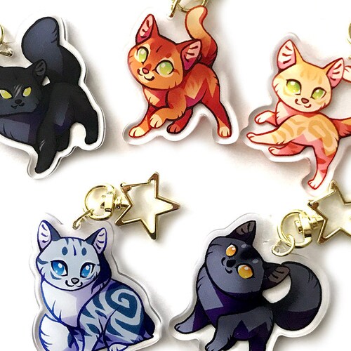 Warrior Cats Keyring Charm Clear Double Sided Acrylic - Etsy