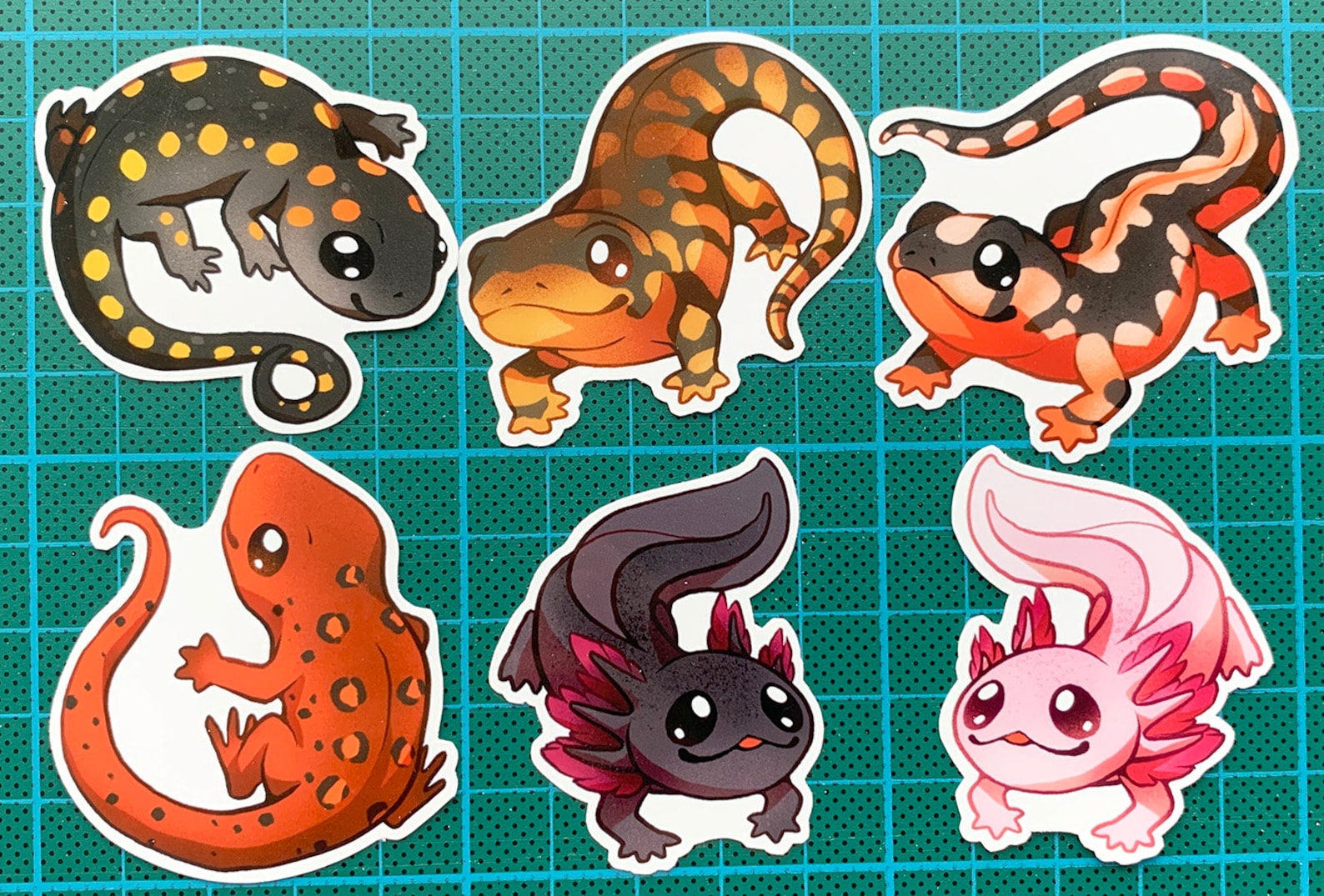 Cute Amphibian Sticker Set Black and White Axolotl Spotted - Etsy