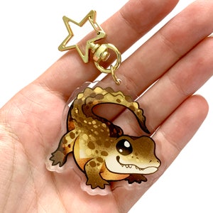 Reptile Keychain Charm Set 2 - Clear Double Sided Acrylic Keychain ...