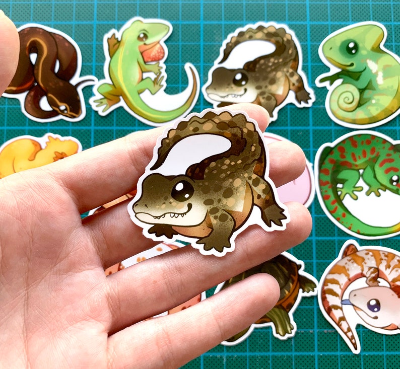 Cute Reptiles Sticker Set II Crocodile Corn Snake Green - Etsy