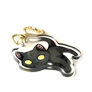 Warrior Cats Keyring Charm - Clear Double Sided Acrylic Keyring Charms ...