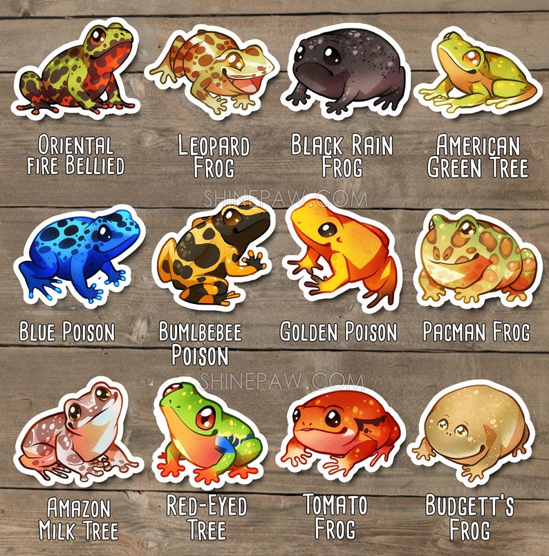 Cute Frog Sticker Set Poison Dart Frog Oriental Fire Bellied | Etsy
