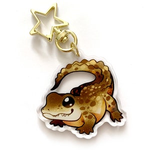 Reptile Keychain Charm Set 2 - Clear Double Sided Acrylic Keychain ...