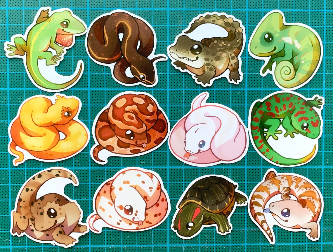 Cute Reptiles Sticker Set II Crocodile Corn Snake Green - Etsy