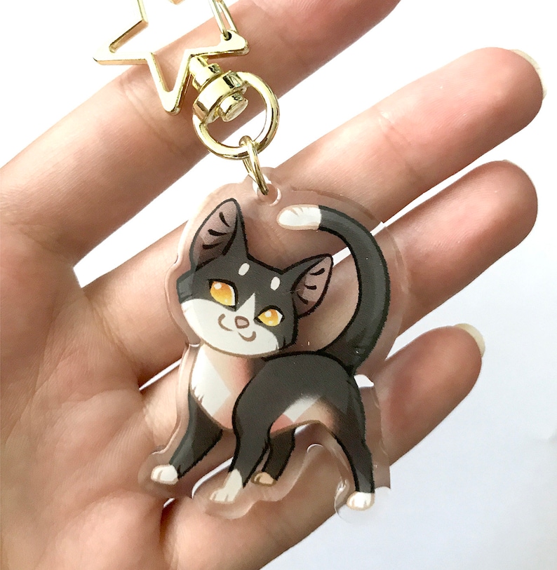 Warrior Cats Keyring Charm Clear Double Sided Acrylic - Etsy