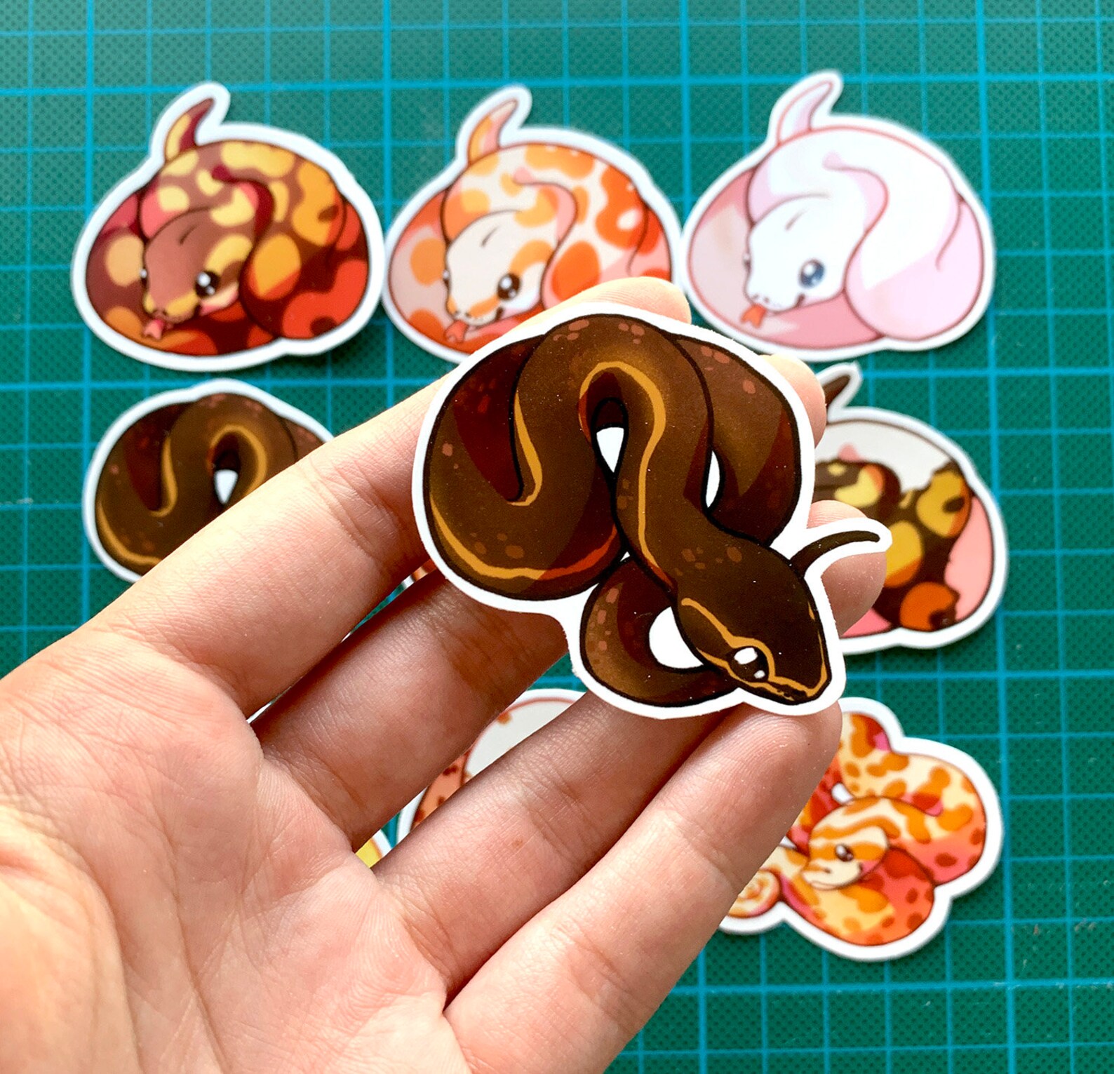 Cute Snake Sticker Set Ball Python Eyelash Viper Corn Snake - Etsy