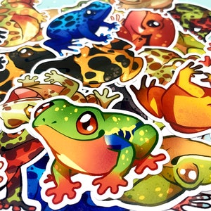 Cute Frog Sticker Set - Poison Dart Frog Oriental Fire Bellied Amazon ...