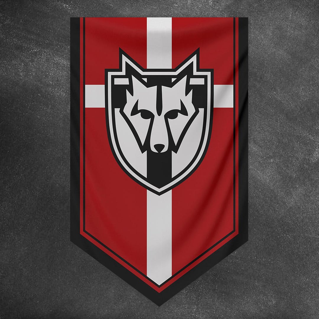 Solitude Fabric Banner || Game Wall Decor | Gift for Gamer - Etsy