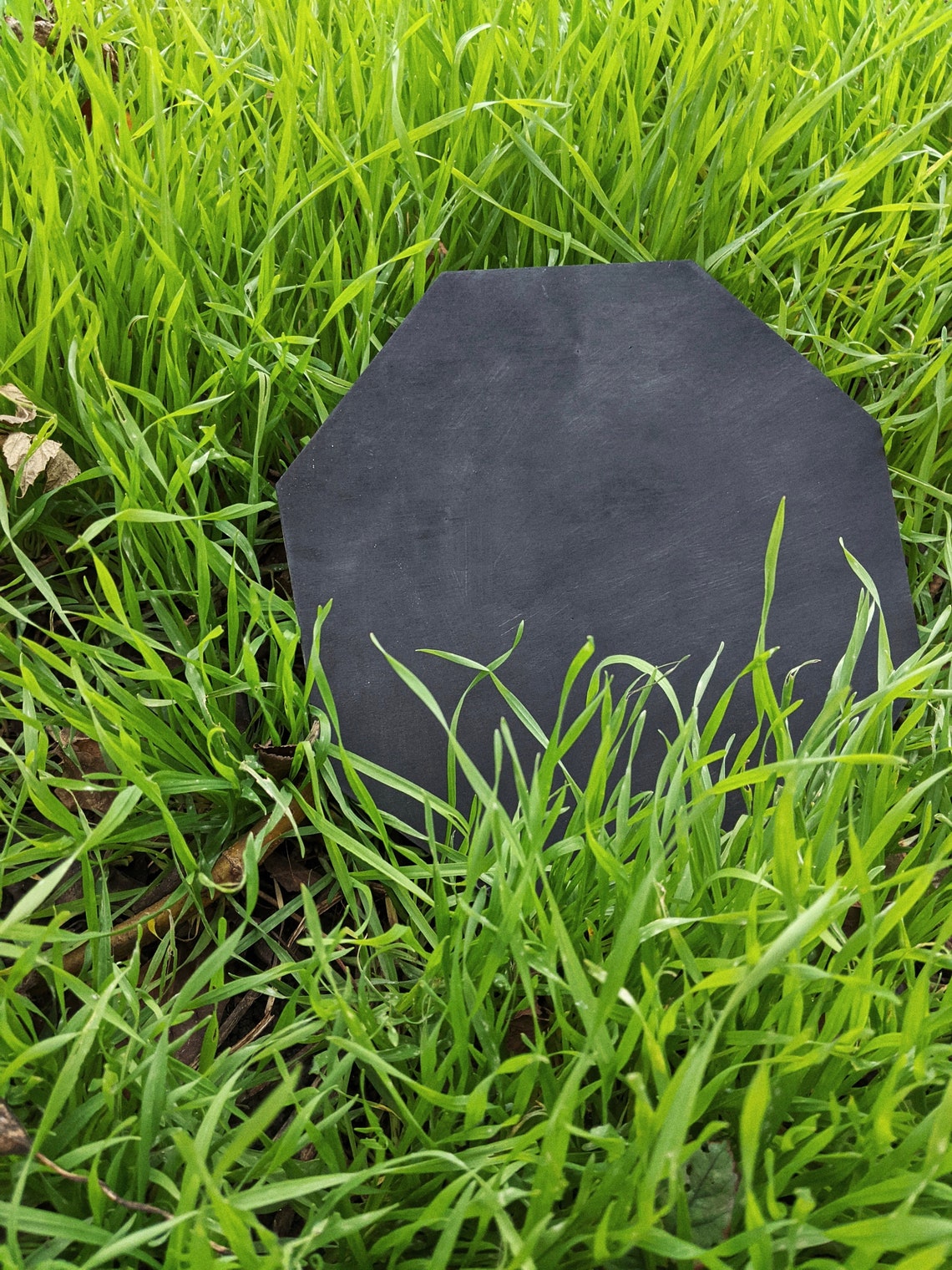 Last of Us Stop Sign Tlou Firefly Decor Last of Us Home | Etsy