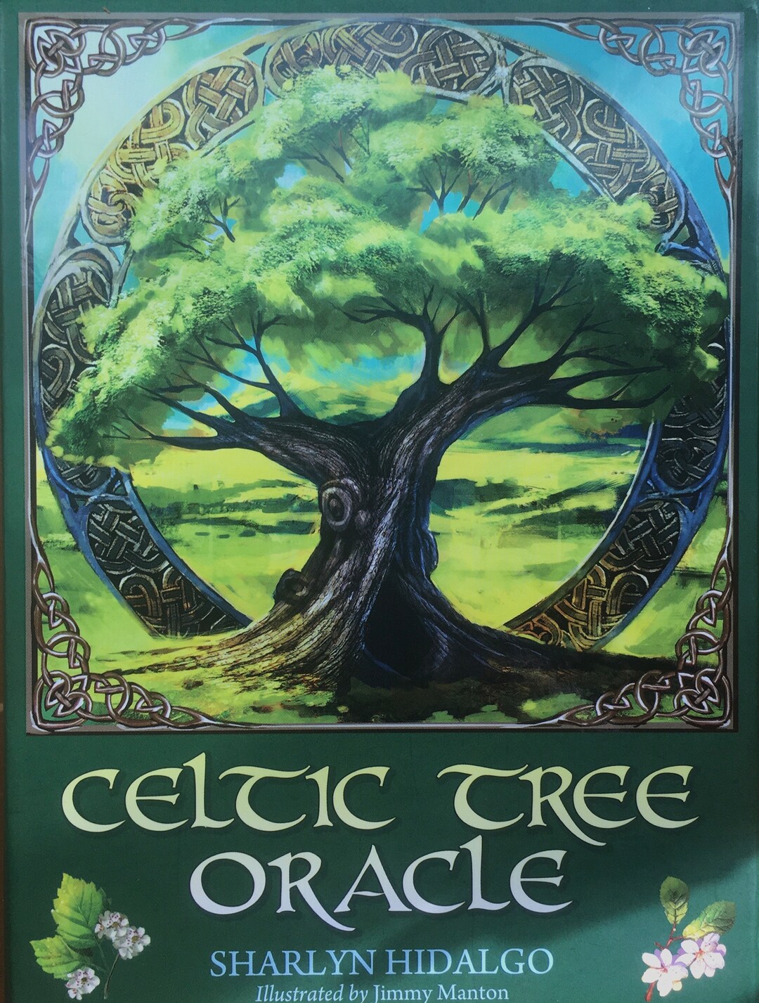 Same Day *celtic Tree Oracle Card Psychic Reading* 3 Cards - Etsy