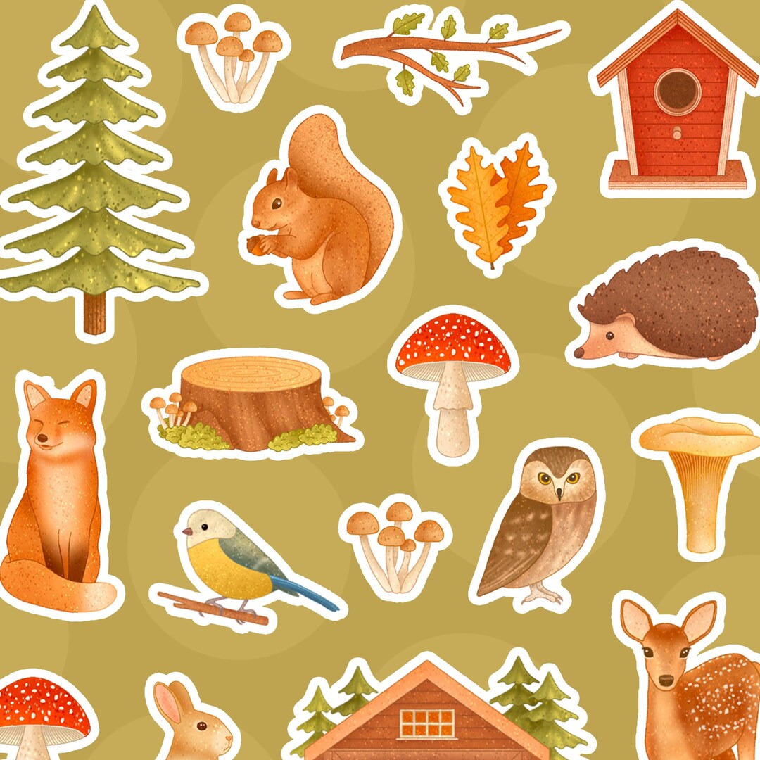 Woodland Animals Sticker Pack | Forest Life Stickers - Etsy