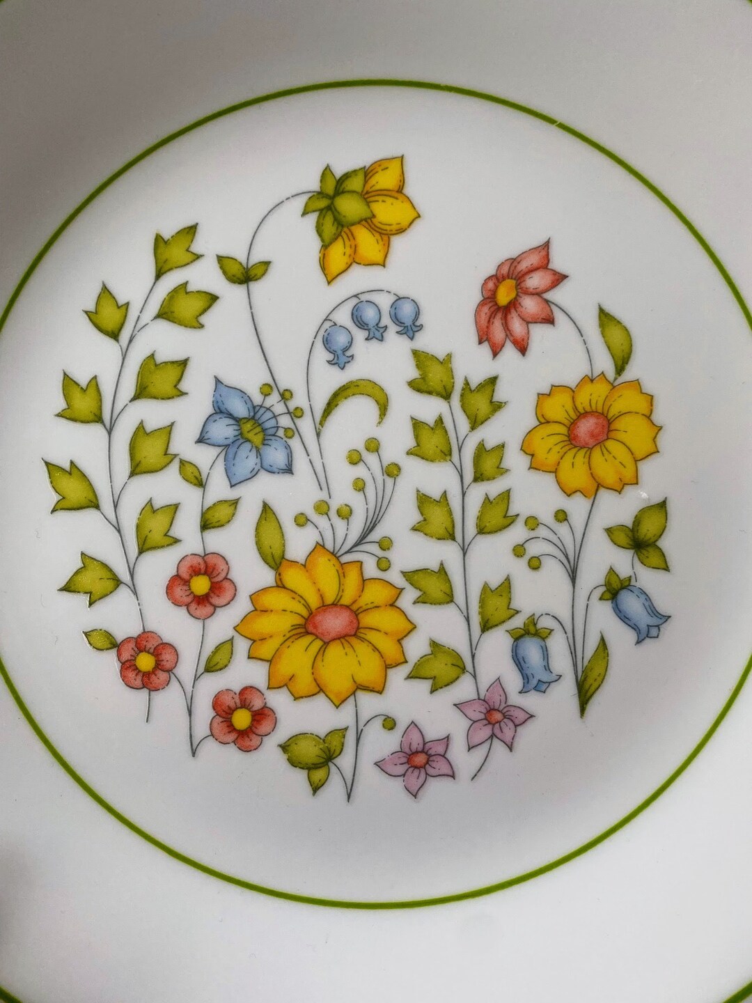 Vintage Corelle by Corning Meadow Pattern, Set of 2 Salad Plates, Set ...