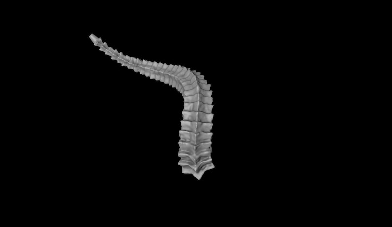 STL Straight Dragon Horn 3D Model - Etsy