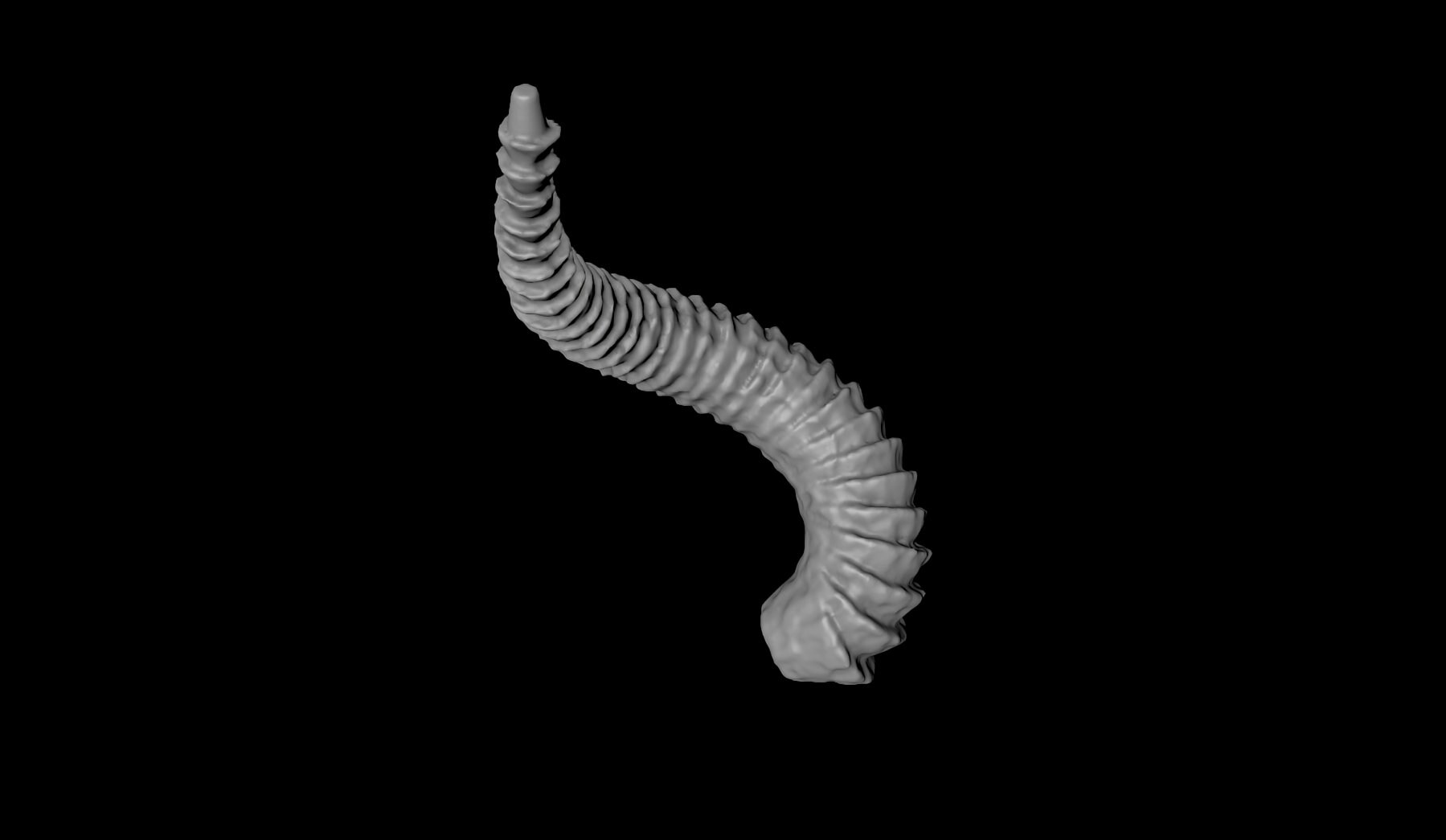 STL Straight Ridged Horn 3D Model - Etsy