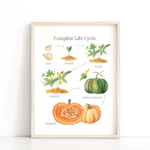 Hello Fall Fall Sign Fall Wall Hanging Farmhouse Fall | Etsy