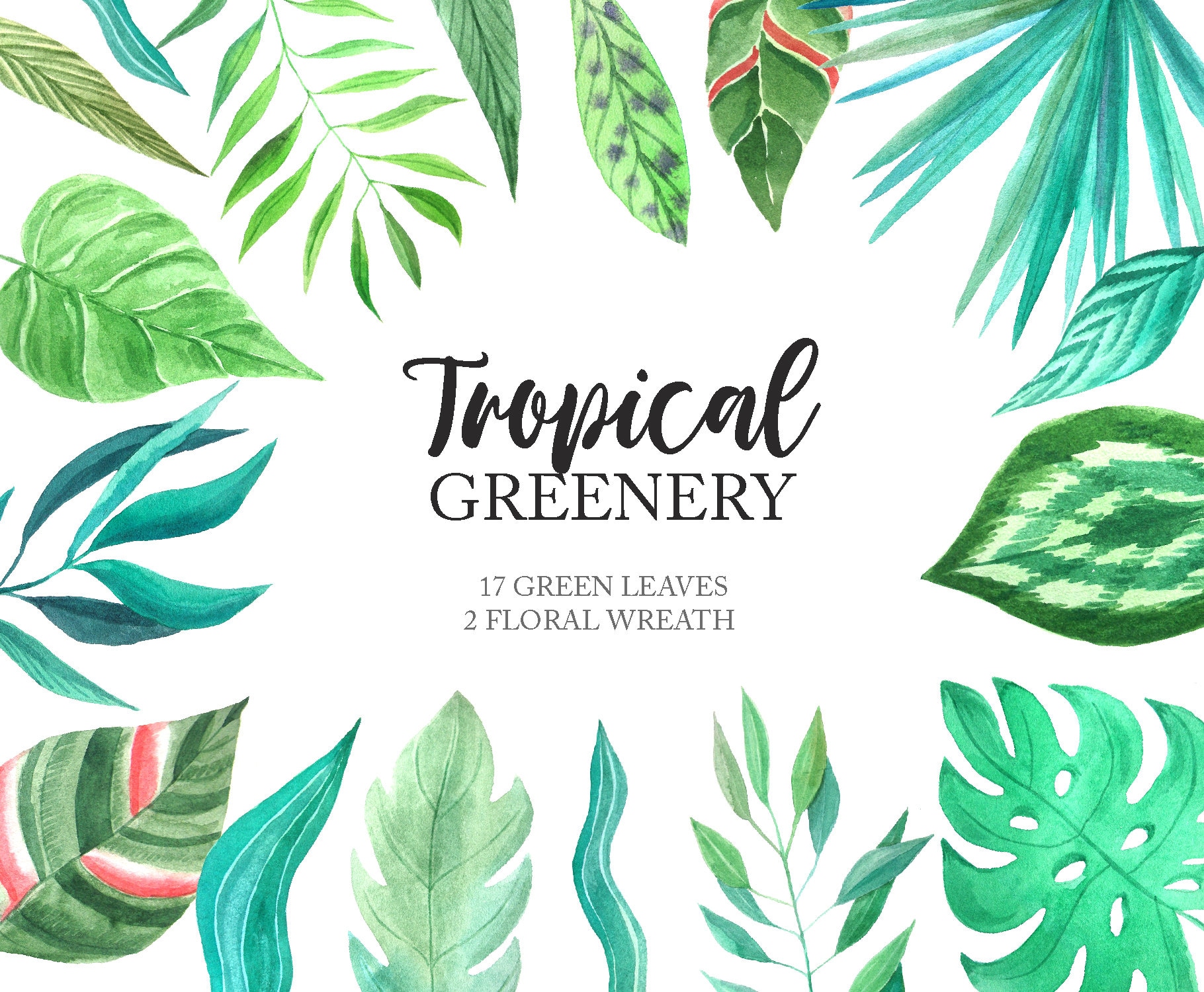 Tropical Clip Art Watercolor Clipart Tropical Leaves Clipart Digital ...