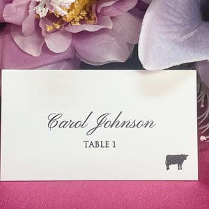PRINTED Place Cards With Custom Fonts and Colors, Custom Place Cards ...