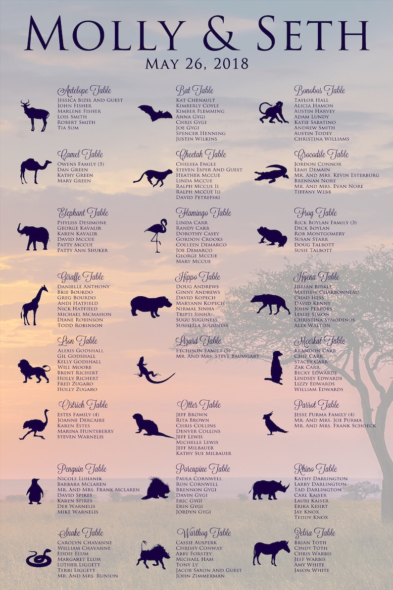 Zoo Animal Seating Chart - Designed File - Etsy