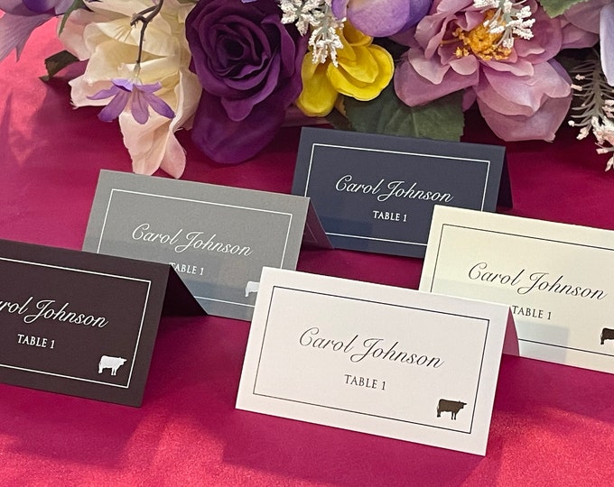 PRINTED Place Cards With Custom Fonts and Colors, Custom Place Cards ...