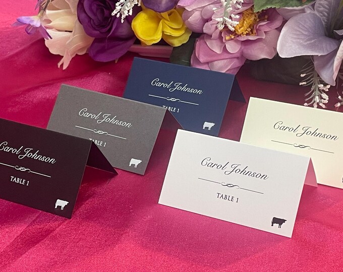 PRINTED Place Cards With Custom Fonts and Colors, Custom Place Cards ...