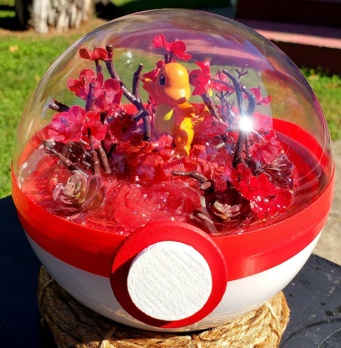 Pokemon Terrarium Extra Large / Bulbasaur/ Pokeball / Diorama / Gift ...