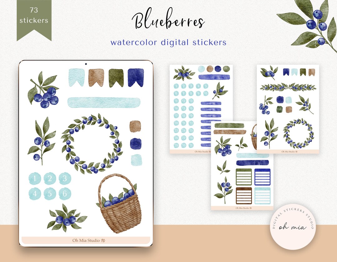 Blueberry Digital Stickers Fruit Digital Planner Watercolor Blueberries ...