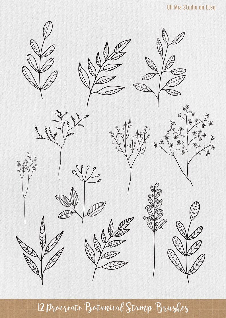 12 Botanical PROCREATE Decorative Stamp Brushes. Digital | Etsy