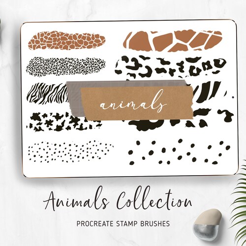 PROCREATE Animal Pattern Brushes Wild Animals Footprint - Etsy